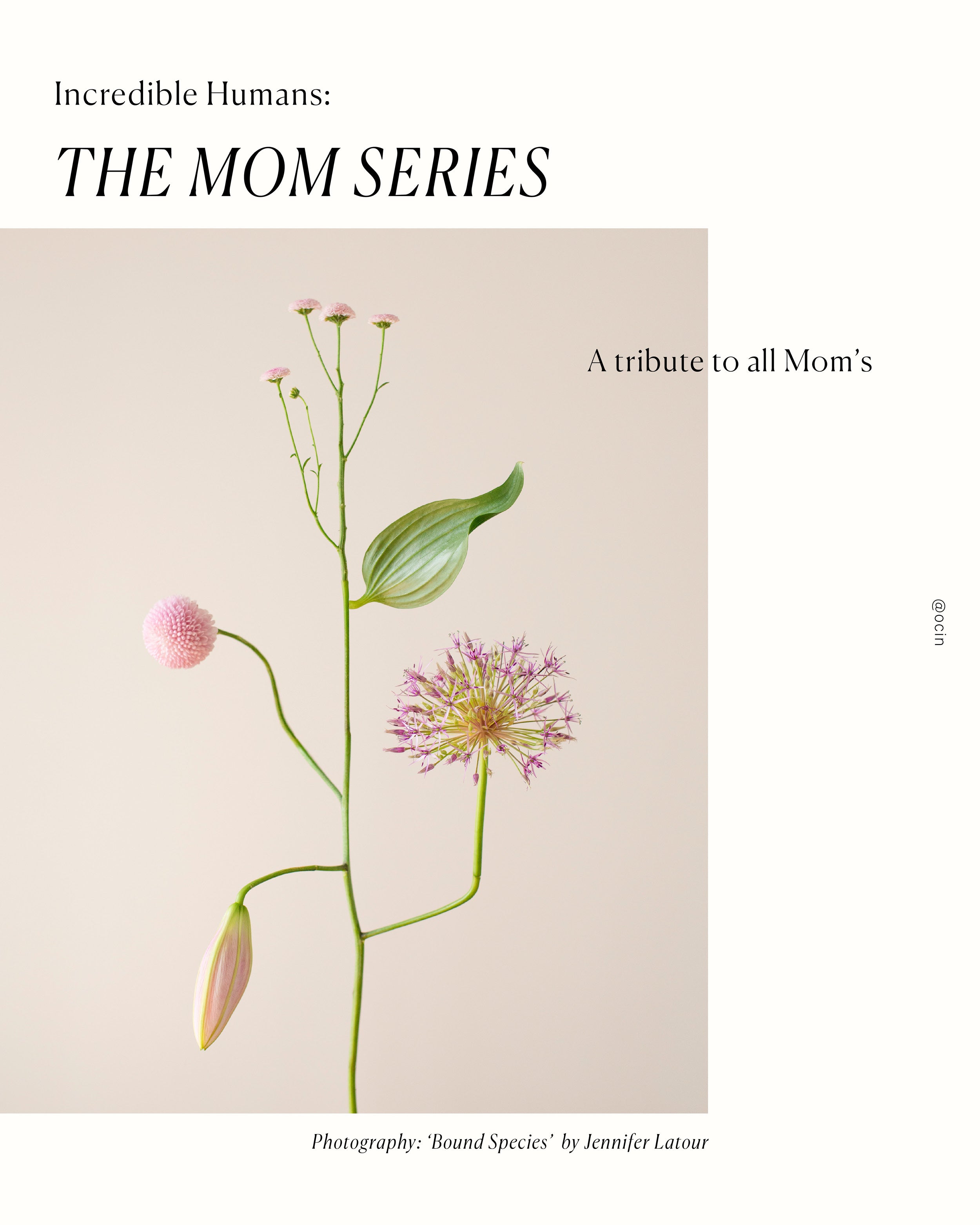 Incredible Humans: The Mom Series – OCIN | ocin.co